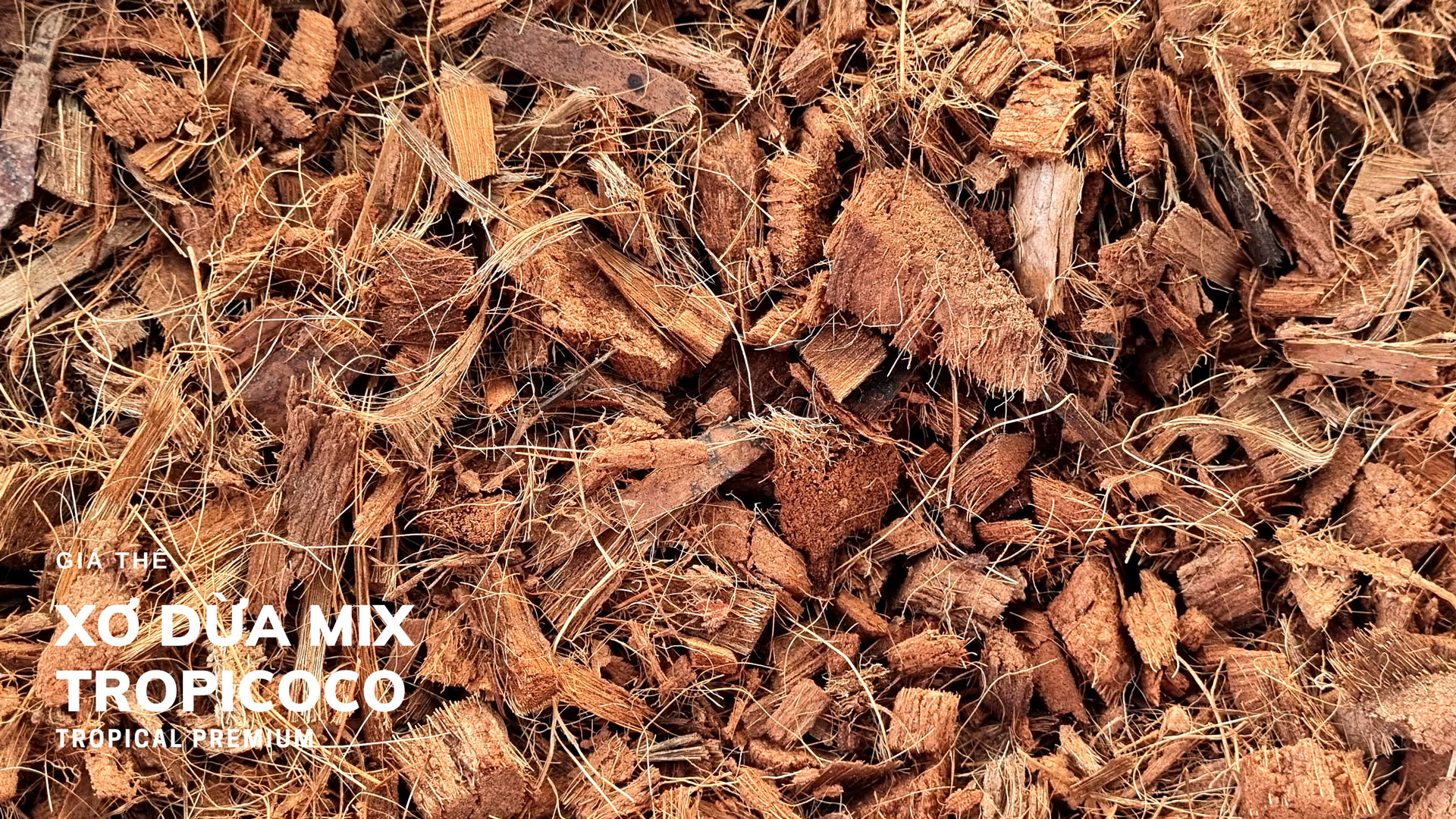 About us - Tropicoco the best Vietnamese Coco coir substrate for urban